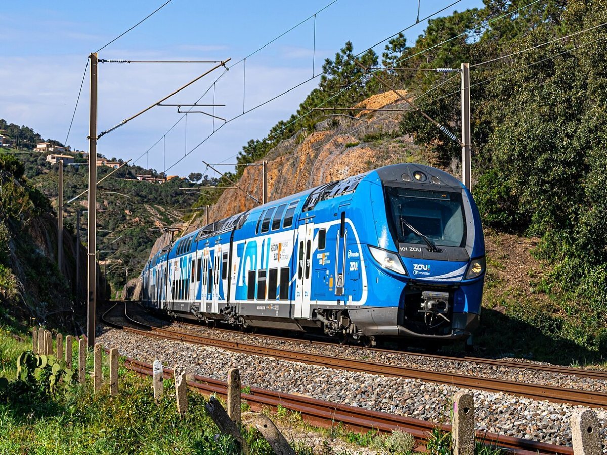 pantographe - RW Central